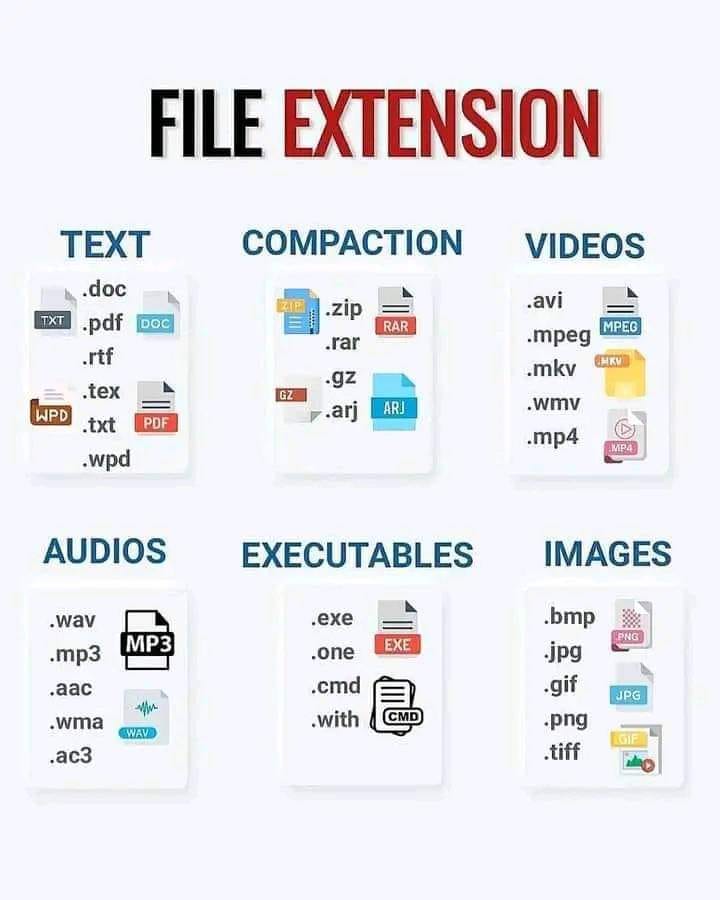 File Extension Aprogrammerlife